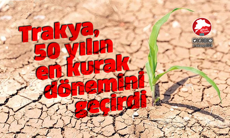 Trakya, 50 yılın en kurak dönemini geçirdi | Trakya Politik | Trakya ...